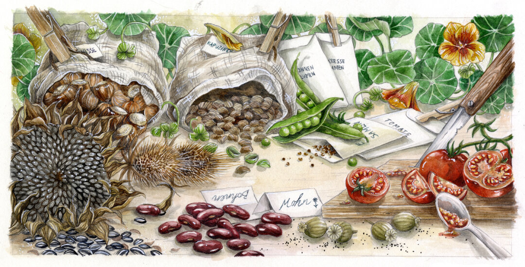 Über Magic Garden Seeds