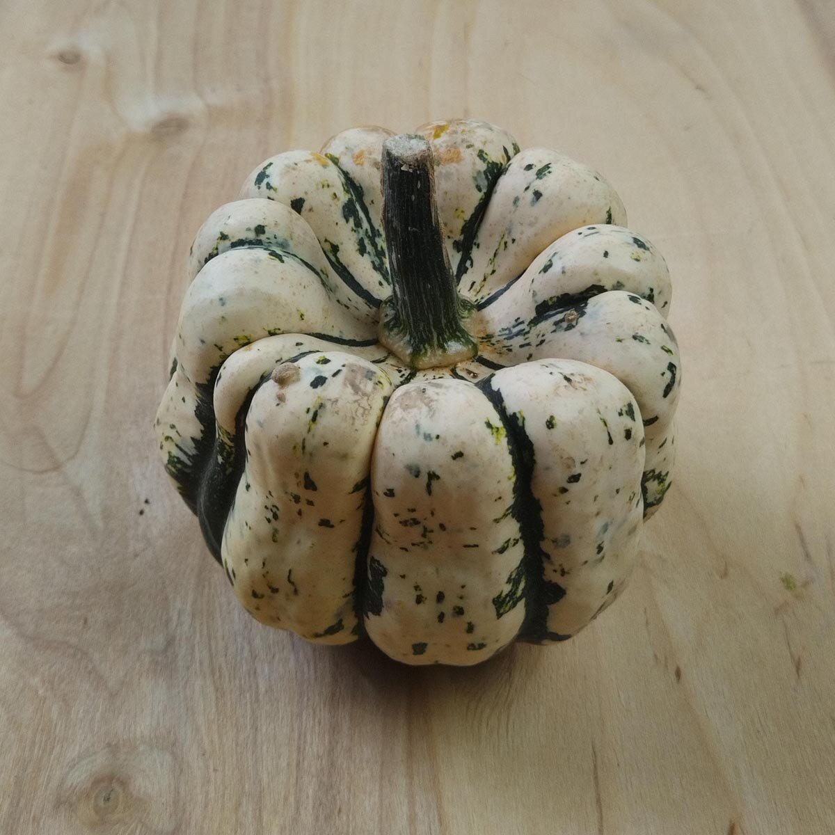 Kletterkürbis 'Sweet Dumpling' (Cucurbita pepo) Samen