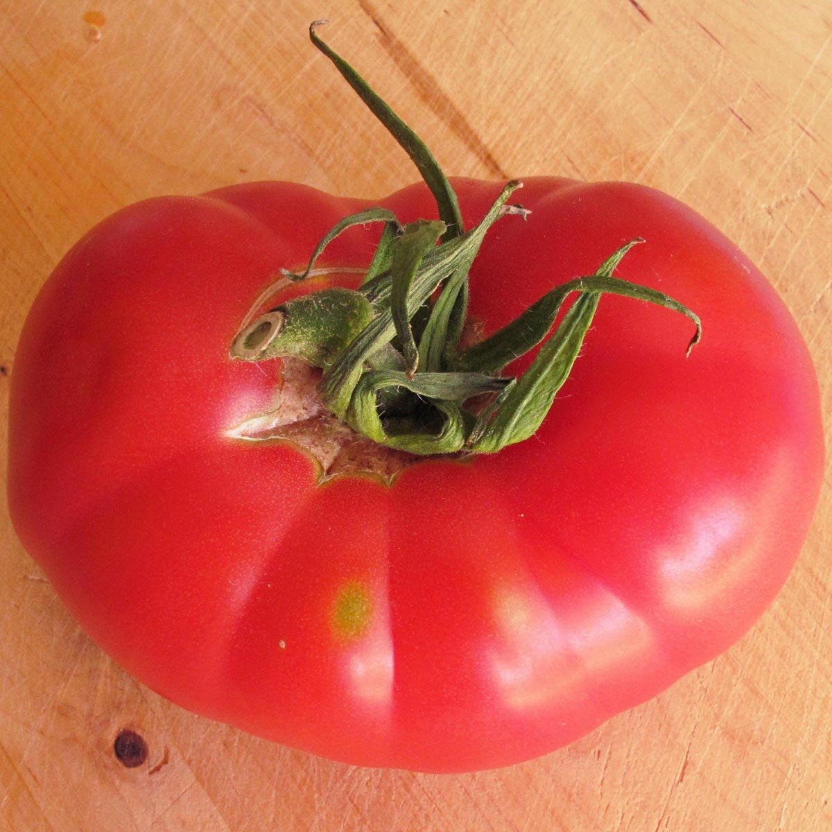 Freilandtomate 'Hellfrucht' (Solanum lycopersicum) Samen