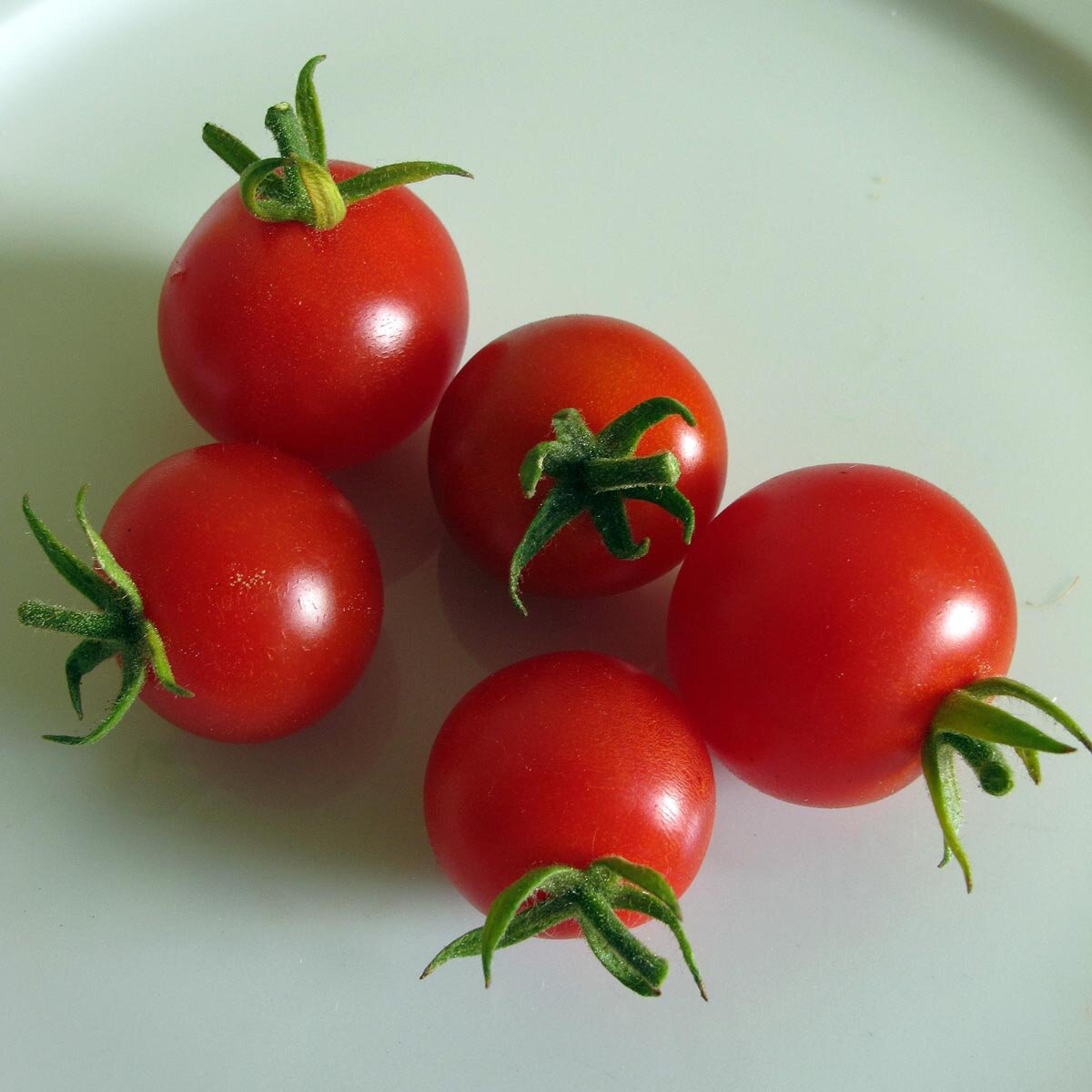 Italienische Kirschtomate 'Ciliegia' (Solanum lycopersicum) Samen
