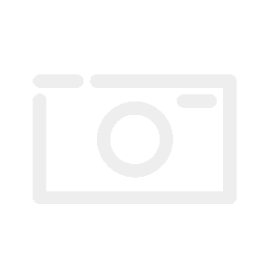 Rote Bete 'Cylindra' (Beta vulgaris) Bio Saatgut