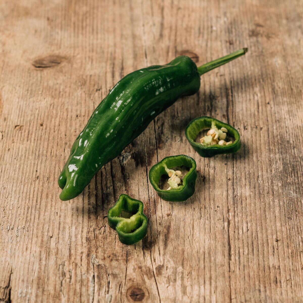 Chili 'Pimientos de Padrón' (Capsicum annuum) Bio Saatgut